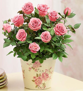 Classic Budding Rose – Small | Digilinks