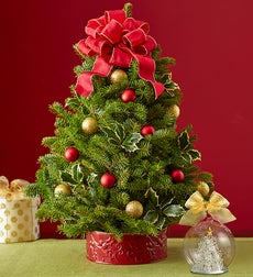 Holiday Flower Tree® from 1-800-FLOWERS.COM